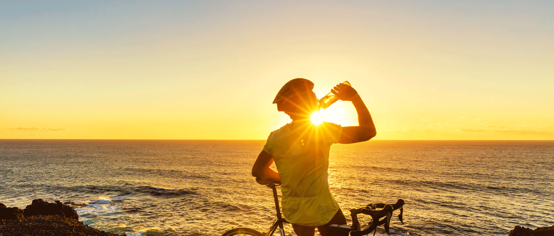 RAYON ALIMENTATION - Newrider